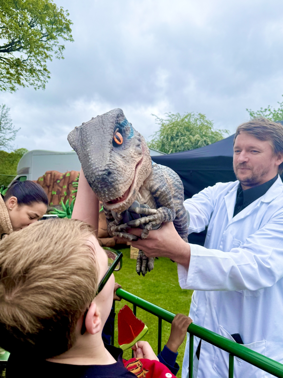 Dino Fun World – Festy